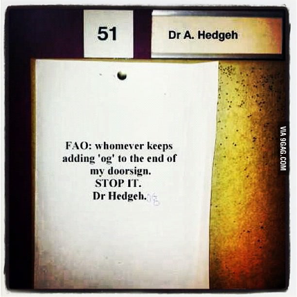 Dr. Hedgeh - 9GAG
