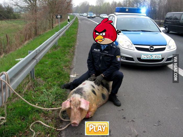 Angry Cops Birds - 9GAG