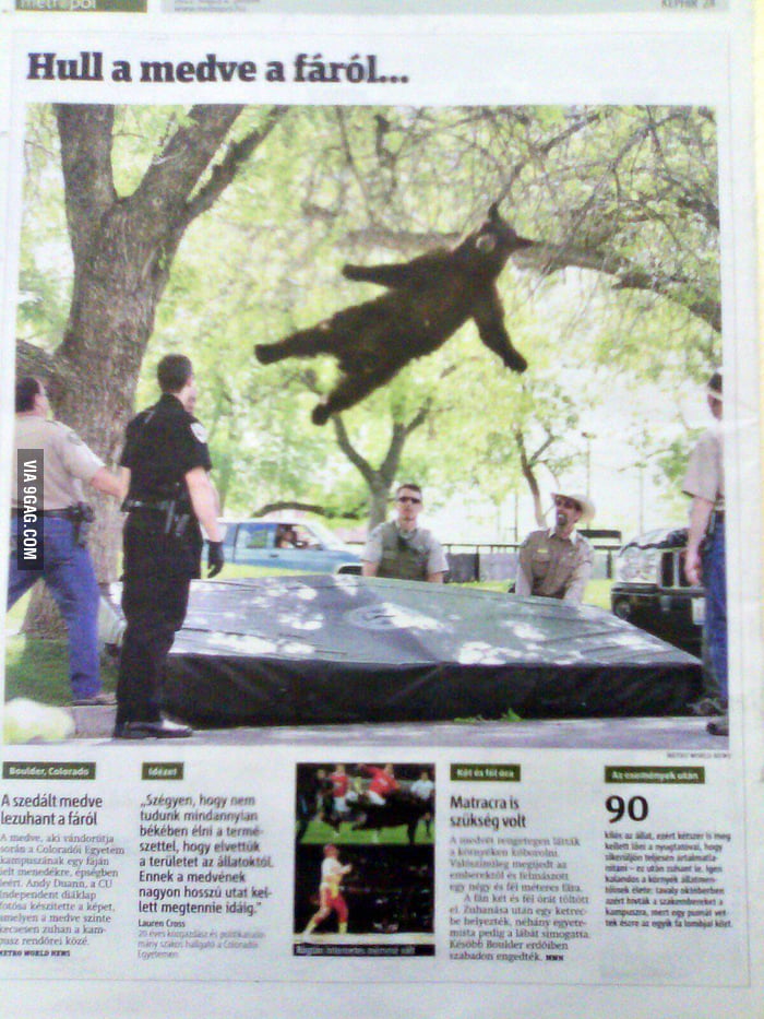 Meanwhile in Hungary - 9GAG