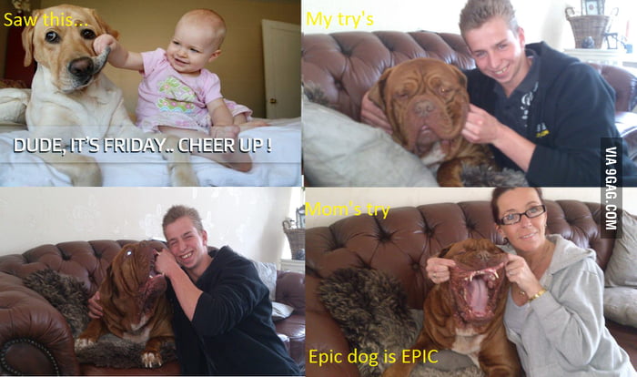 Epic dog is epic..