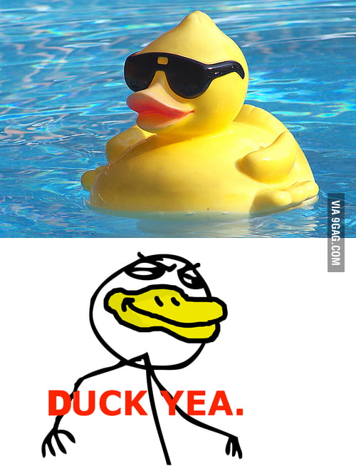 Duck yeah - 9GAG