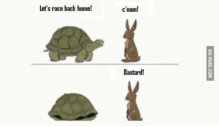 Scumbag turtle - 9GAG