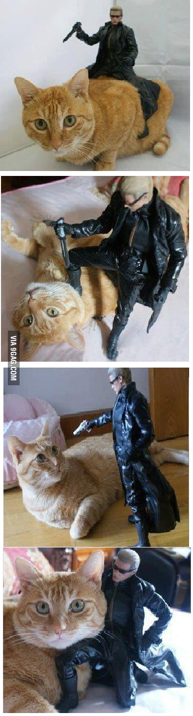 Just Albert Wesker and innocent giant cat - 9GAG