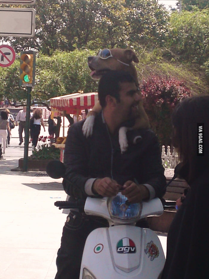 Meanwhile in Turkey - 9GAG