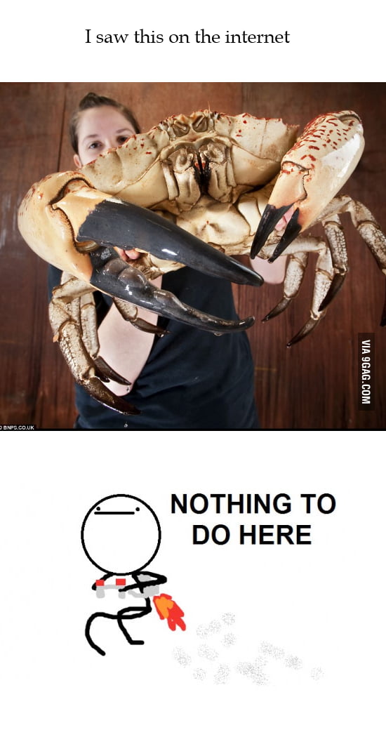 Just Crabs.. WAIT A MINUTE!!! - 9GAG