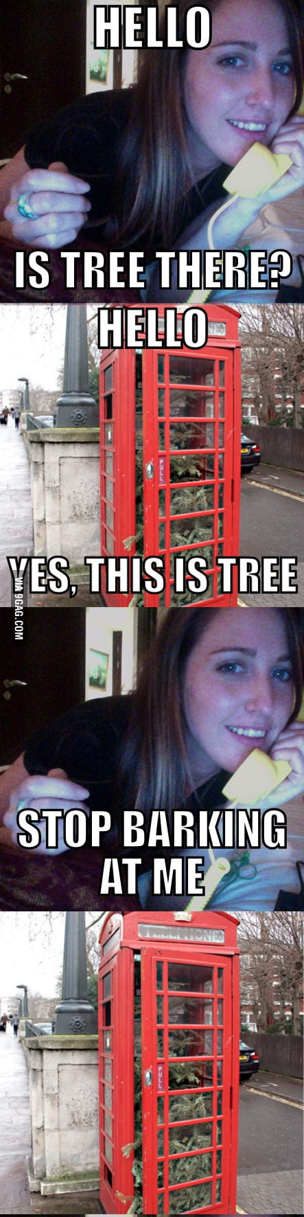Yes, this is tree - 9GAG