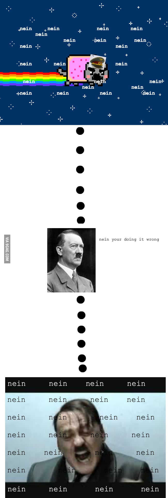 Nein cat - 9GAG