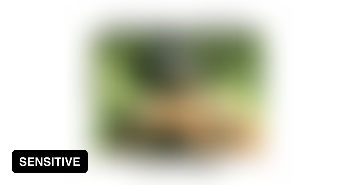 Bricks will be shat - 9GAG