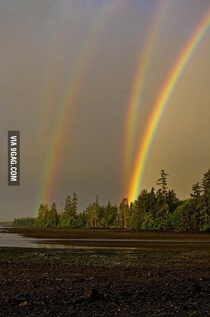 QUADRUPLE RAINBOW! - 9GAG