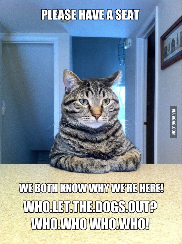 Answer me GOD DAMMIT! - 9GAG