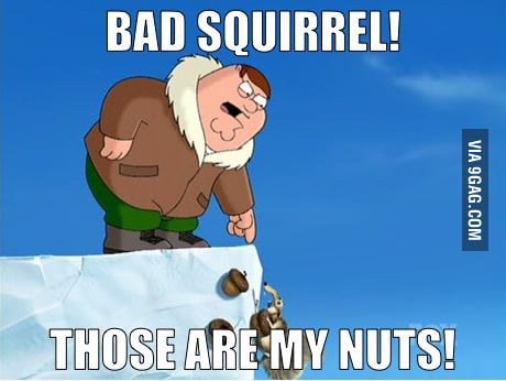 Bad Squirrel! - 9GAG