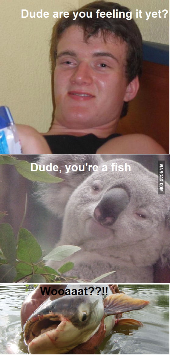 Are you feeling it yet? - 9GAG