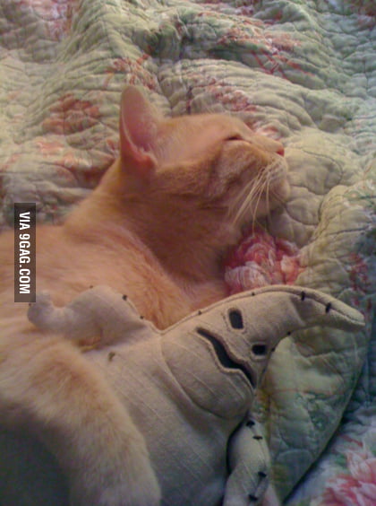 Spooning - 9GAG