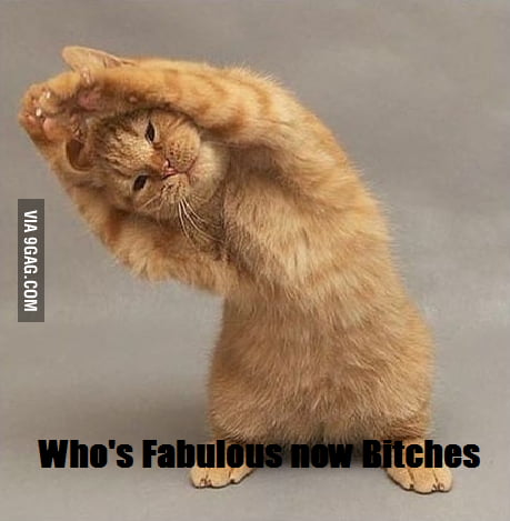 Fabulous Cat - 9GAG