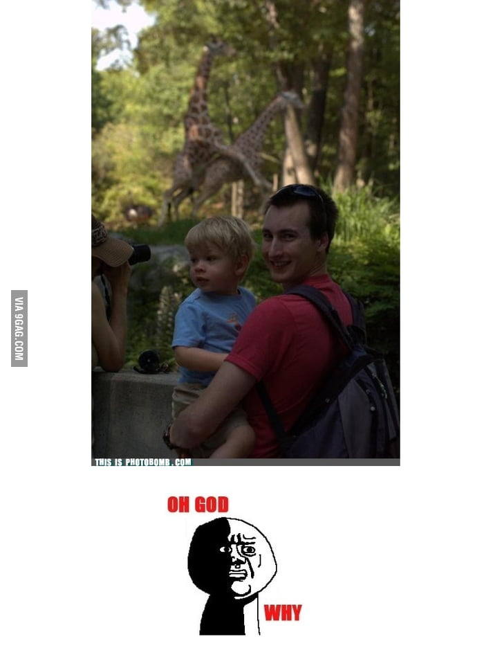 WHYYYYYYYYYYYYYYYYY.............. (.Y.) just to cheer you up - 9GAG