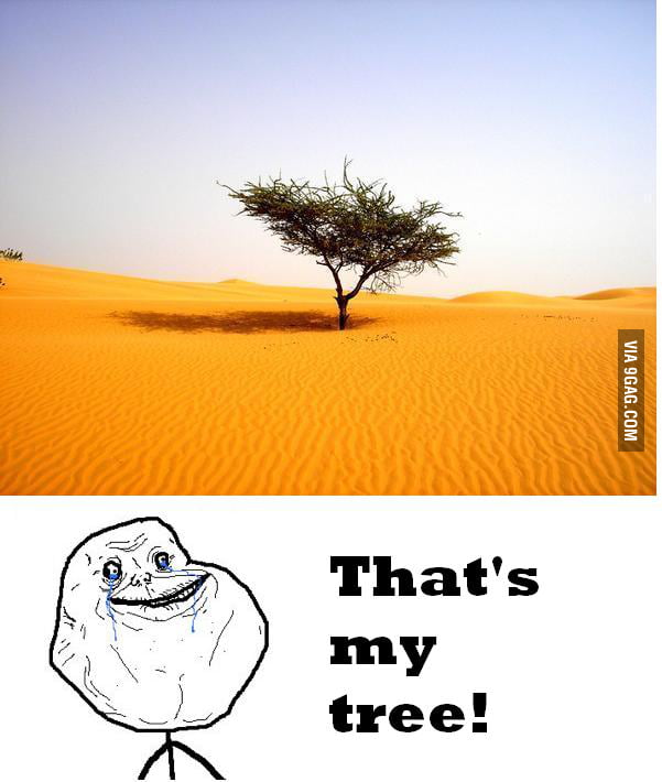 His tree! - 9GAG