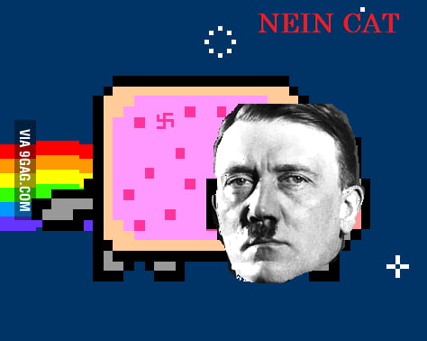 NEIN cat - 9GAG