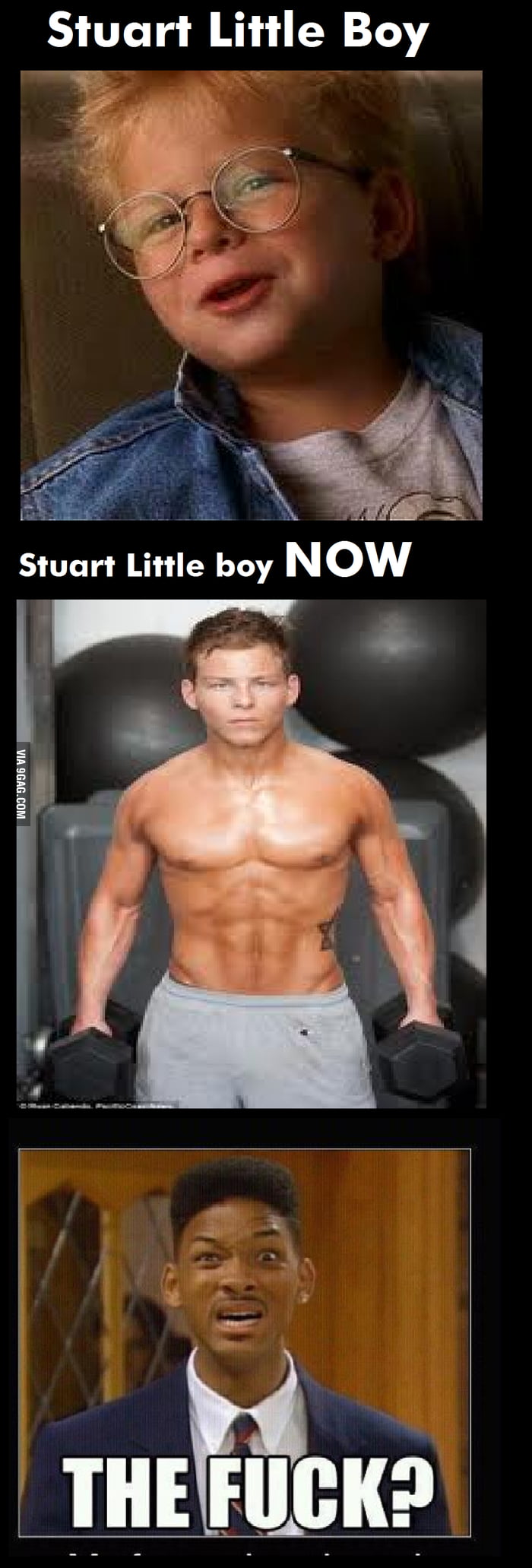 You remember stuart little boy? - 9GAG