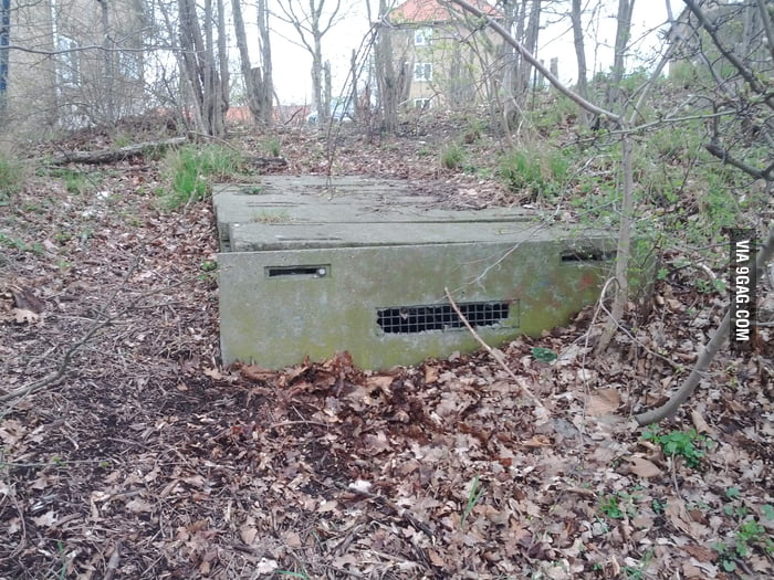 HAPPY BUNKER! - 9GAG