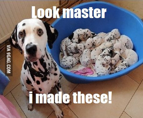 Epic look is epic! - 9GAG