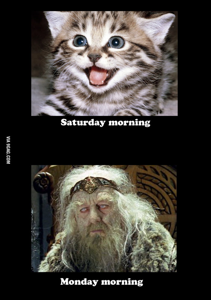 Every single monday - 9GAG