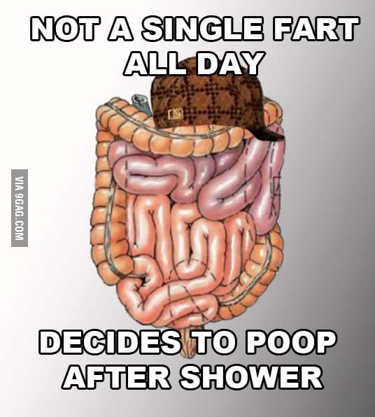Scumbag DIgestive System - 9GAG