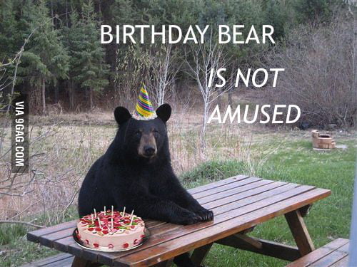 Judgemental Birthday Bear - 9GAG