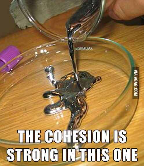 Mercury 9gag