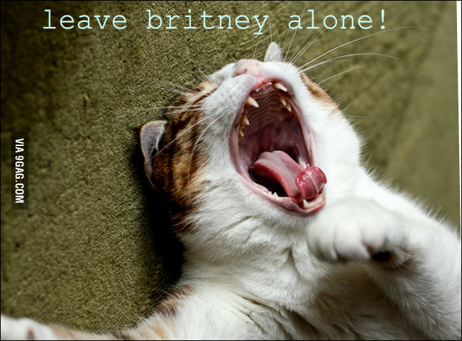 Leave Britney Alone! - 9GAG