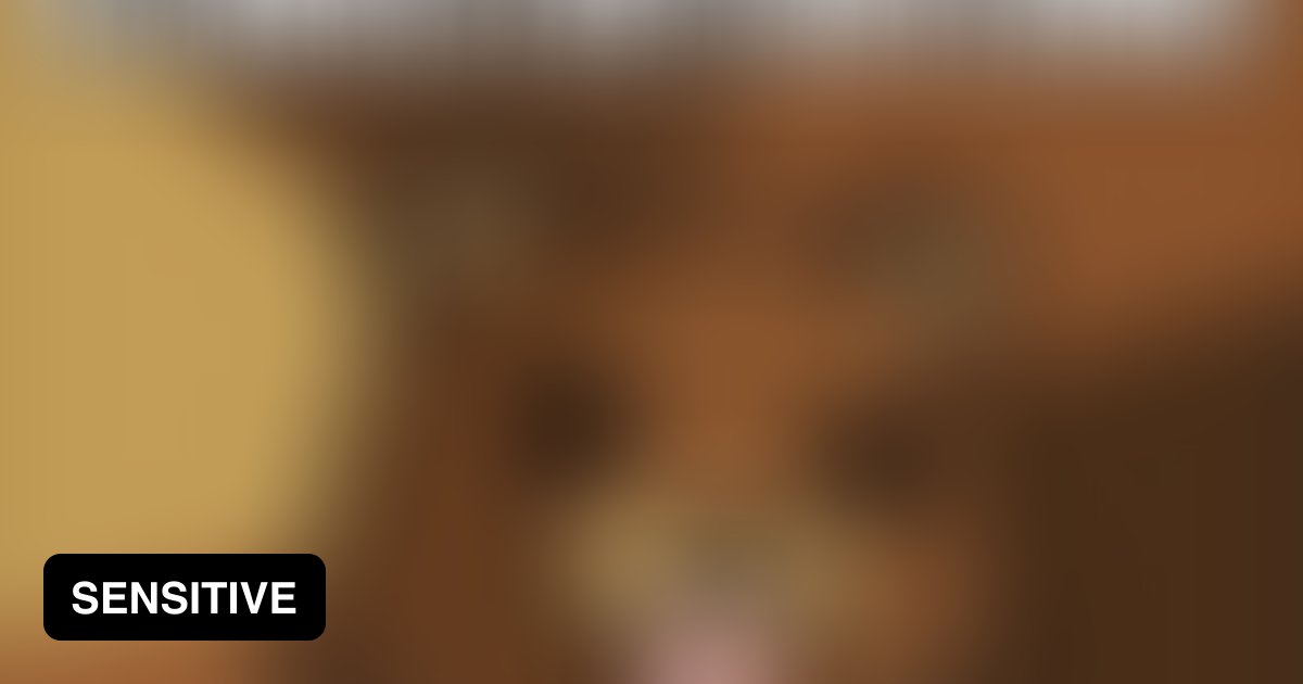 Pedobear being pedobear - 9GAG