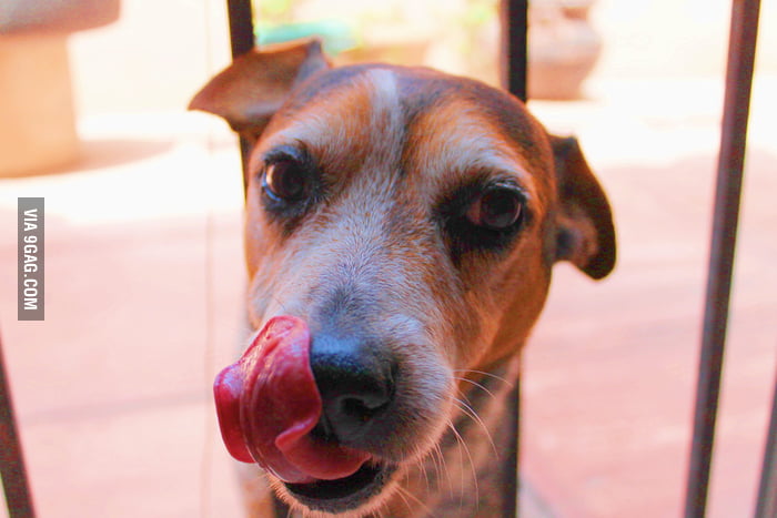 You look delicious today - 9GAG