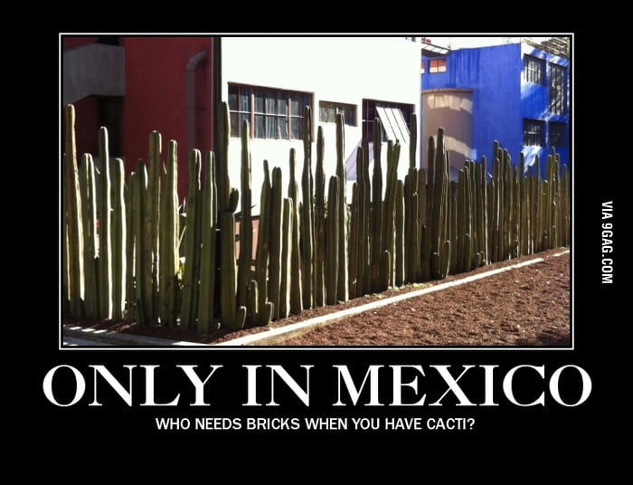 Only in Mexico - 9GAG