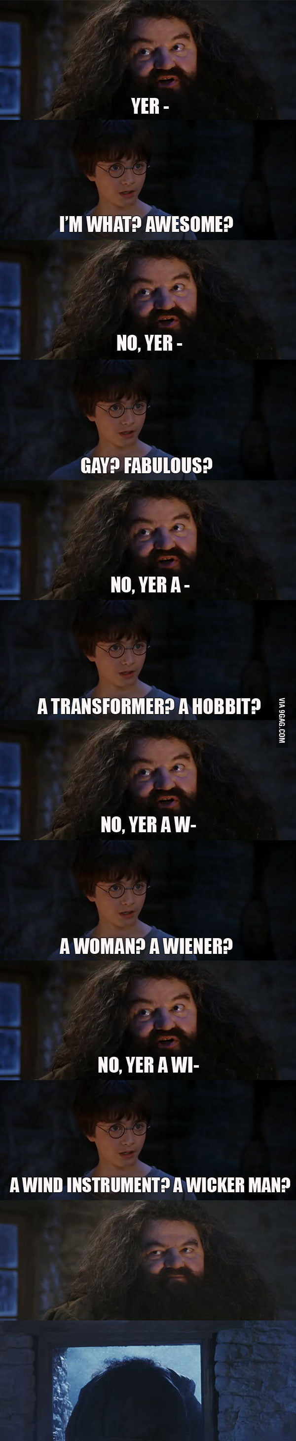 Harry Potter's alternate ending - 9GAG