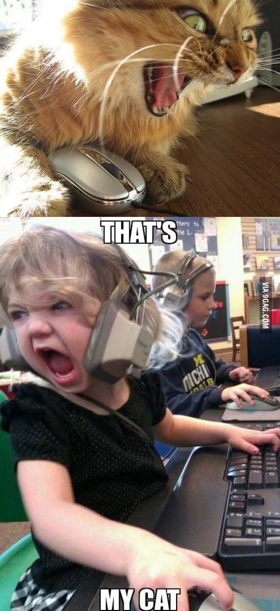 Angry gamer cat - 9GAG