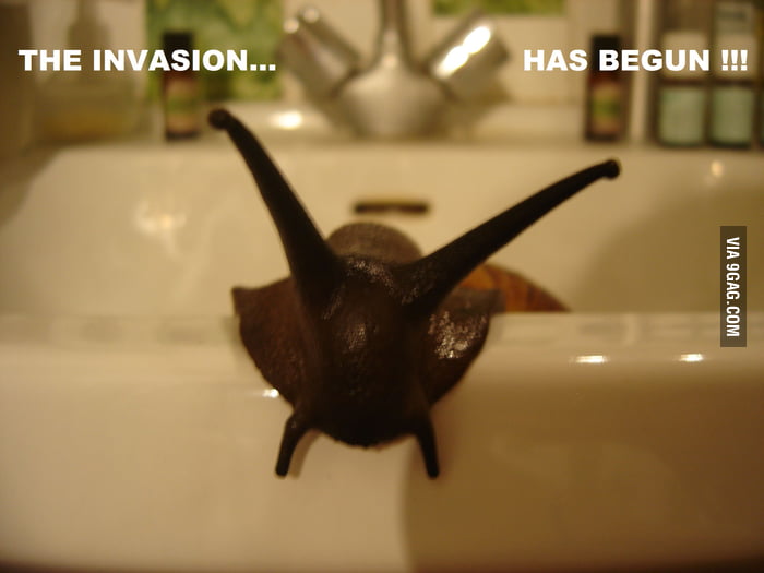 Alien invasion ! - 9GAG
