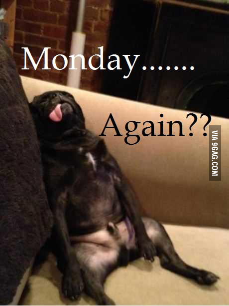 Monday again??? - 9GAG