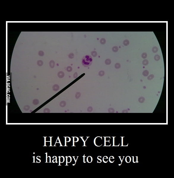 Awesome cell is awesome - 9GAG