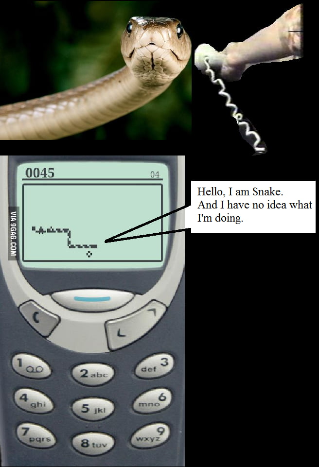 Hello snake - 9GAG