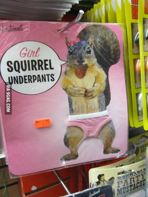 Just squirrel underpants - 9GAG