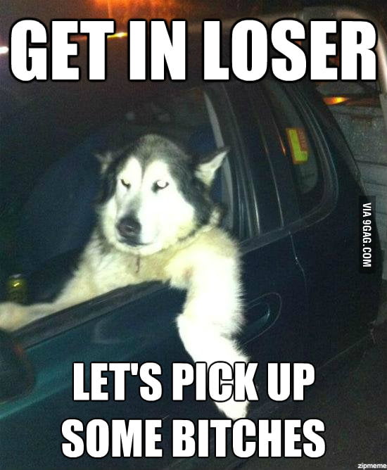 Badass Wolf - 9GAG