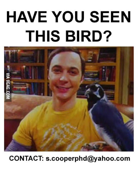 Sheldon being sheldon - 9GAG