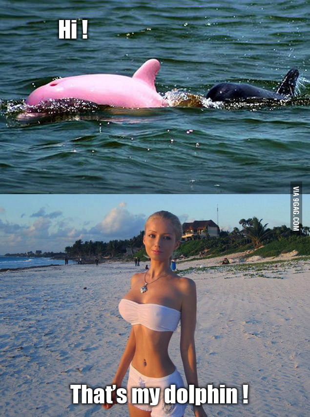 That's my dolphin - 9GAG