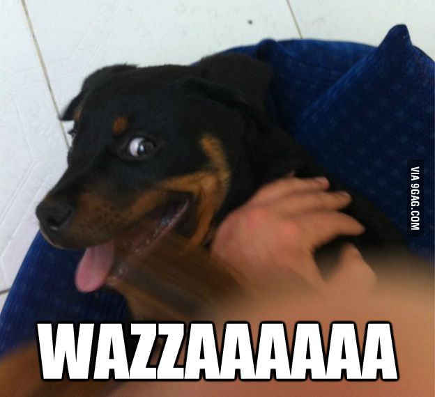 Zaaaaaaaaa - 9GAG