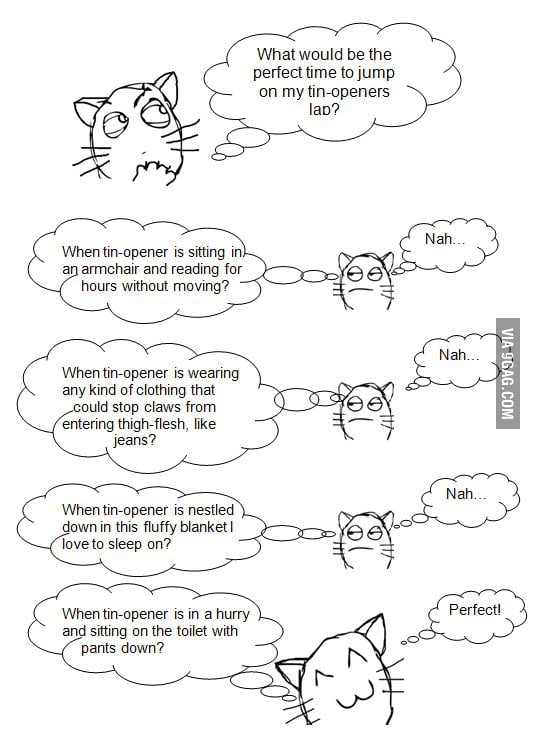 Cat logic... - 9GAG