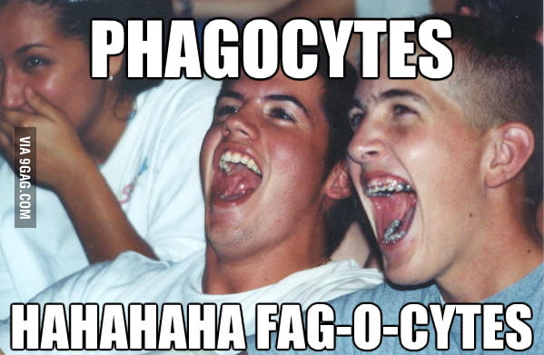 PHAGOCYTES - 9GAG