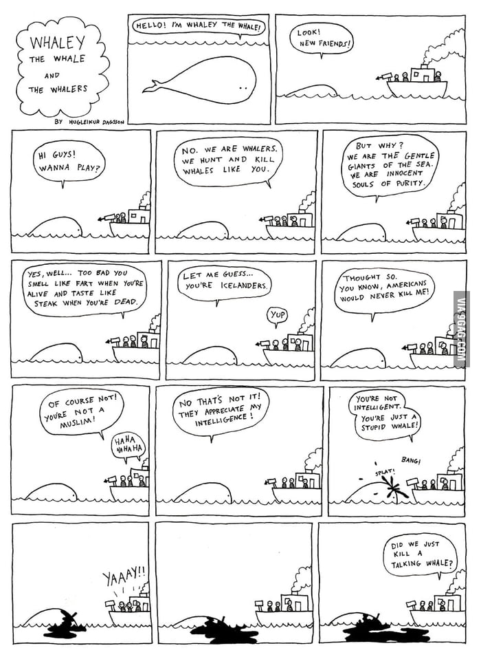 WHALEY THE WHALE & THE WHALERS - 9GAG