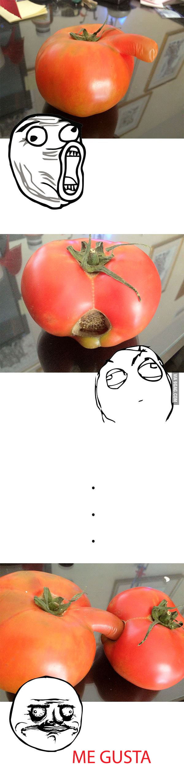 Tomato's Love - 9GAG