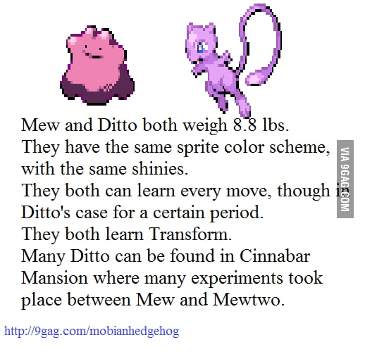 Is ditto a failed mew? - 9GAG