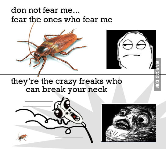 Do not fear me... - 9GAG