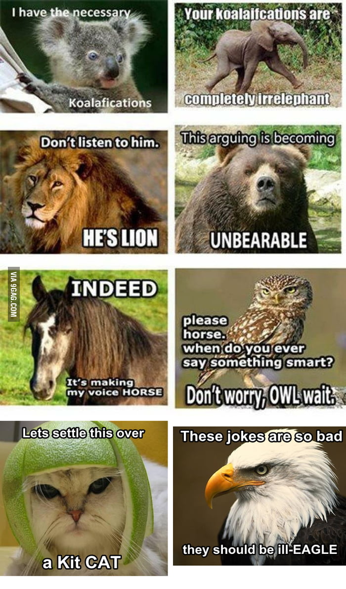 This is so PUNny - 9GAG